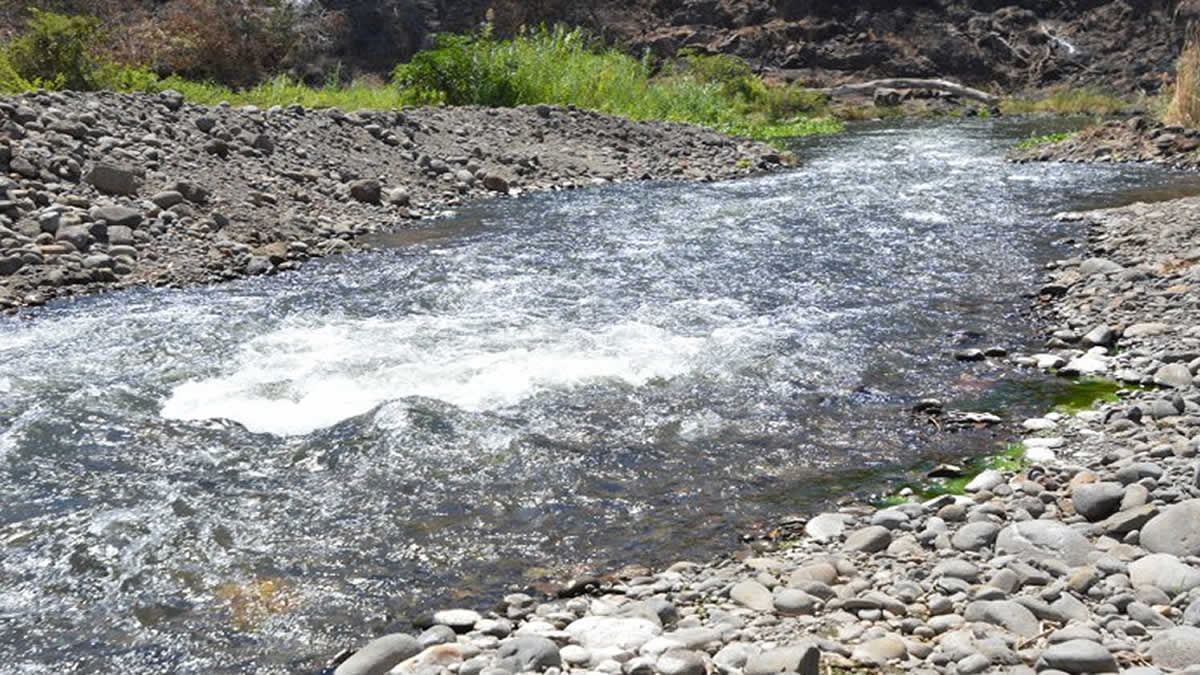 En Costa Rica el Río Tempisque está agonizando : Viva Nicaragua Canal 13