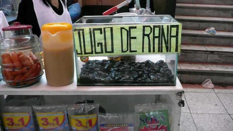 ¿Te animarías a beber este jugo de rana para potenciar la sexualidad ...