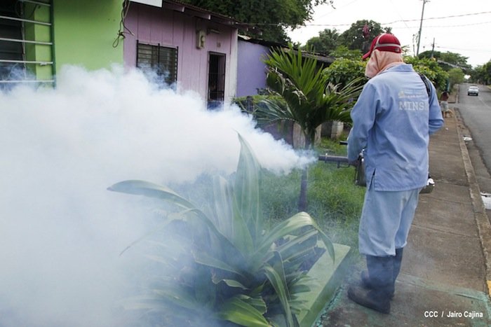 Los celestitos visitan las casas del barrio Enrique Smit para combatir ...