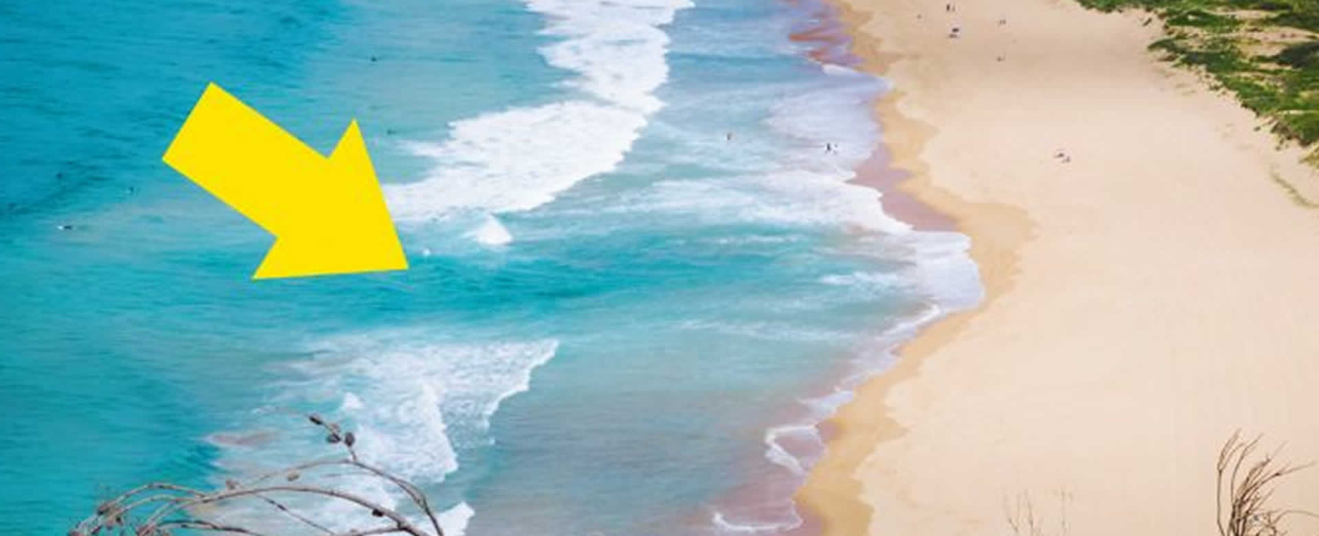 Conoce cómo escapar de una resaca marina y no echar a perder las ...