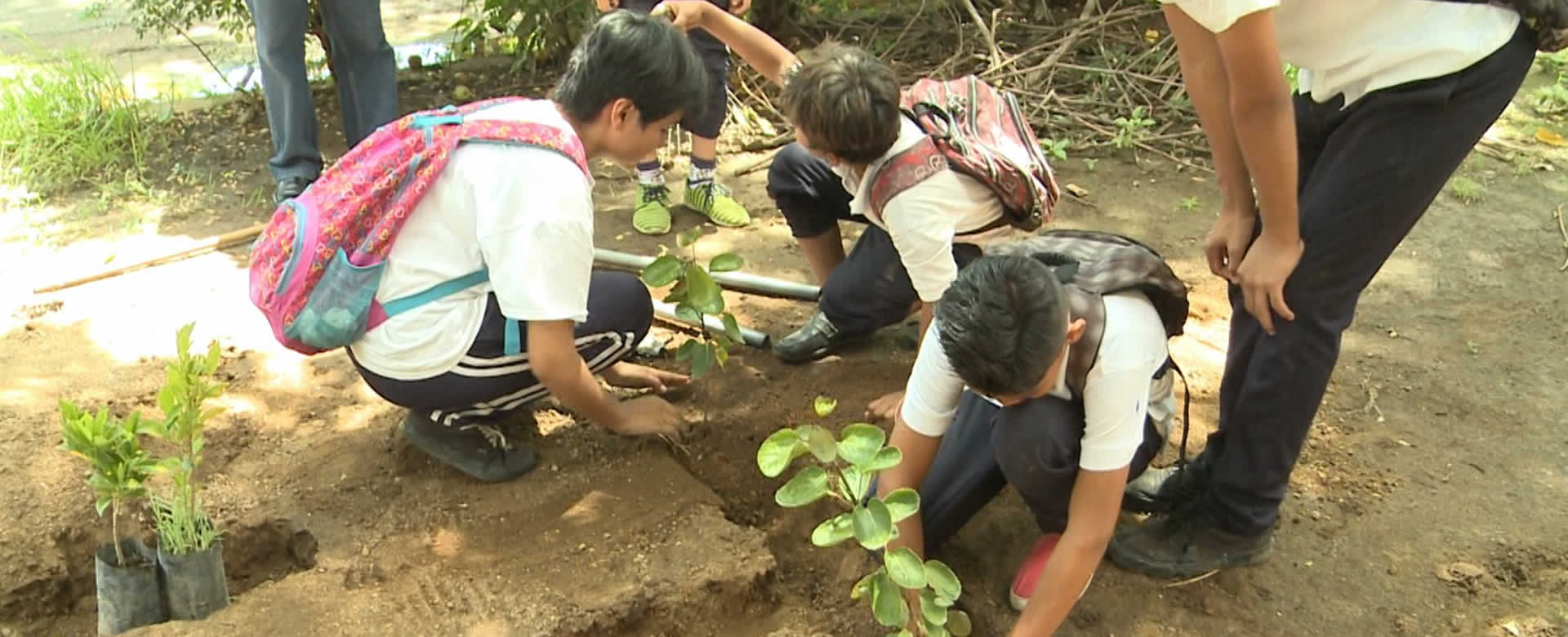 Estudiantes participan en jornada de Reforestacion por el cuido de la ...