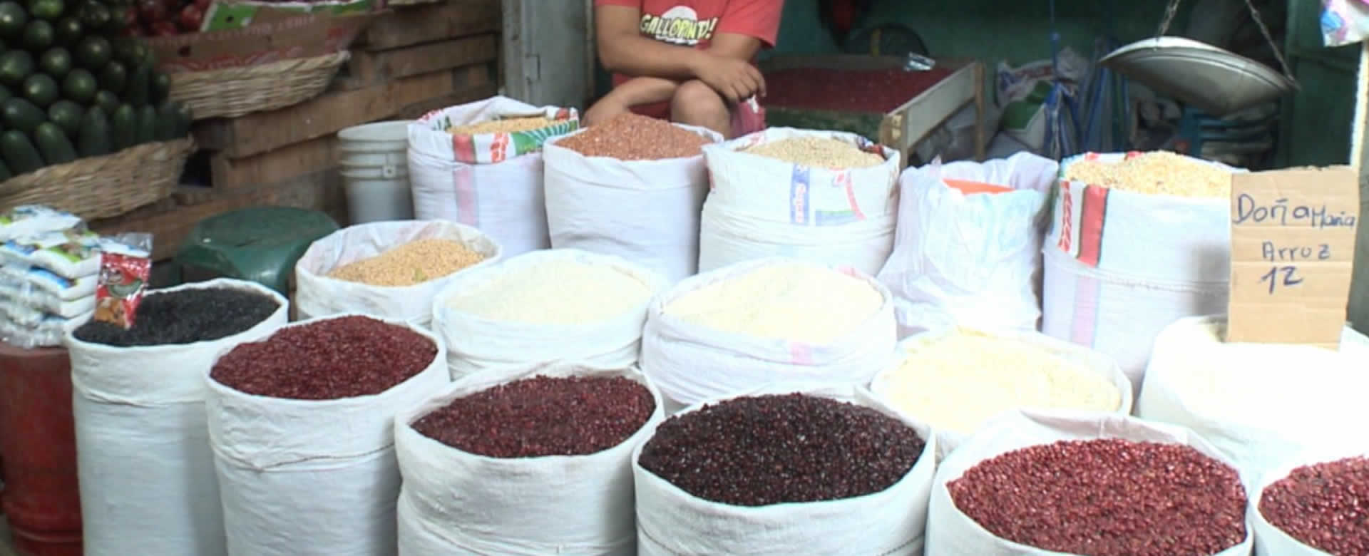 Cosecha de granos básicos en ciclo de primera crece 11.8% en Nicaragua