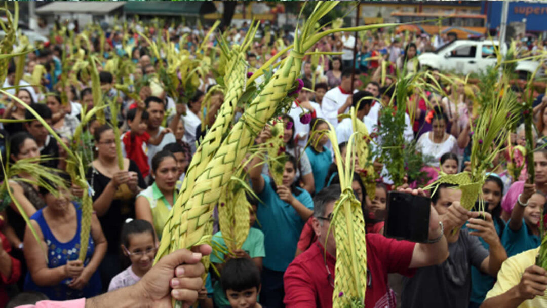 Domingo de ramos: nueve datos curiosos que debes saber
