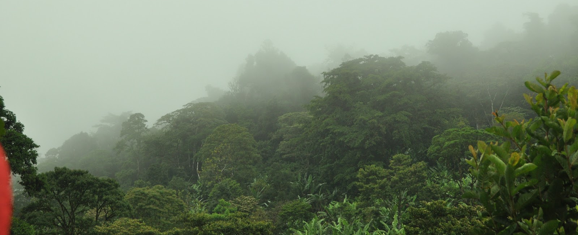 Miraflor, un excelente destino para alejarse del bullicio de la ciudad