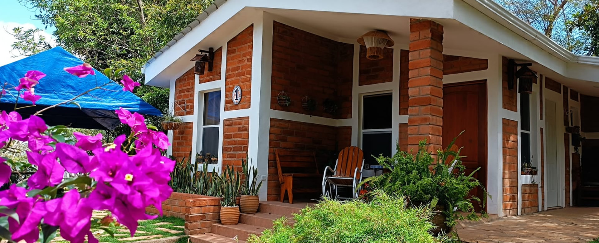 Deléitate con la gastronomía típica y nuevos atractivos de mi viejo ...