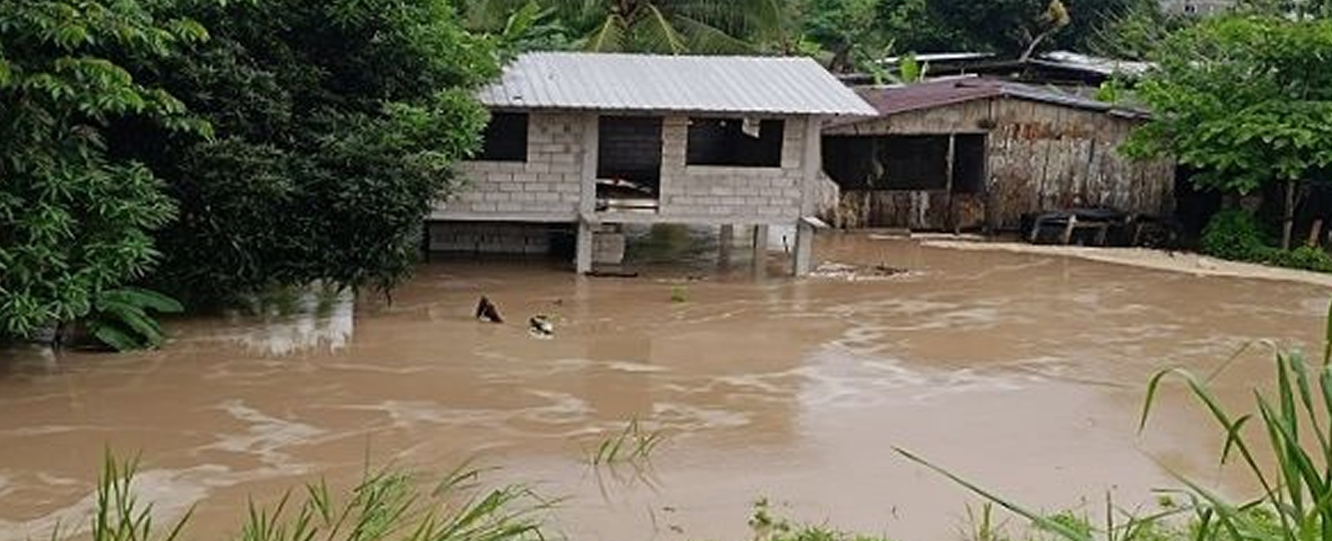 Miles De Personas Afectadas Por Torrenciales Lluvias En Ecuador